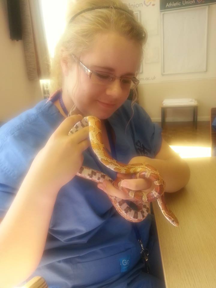 Veterinary Work Experience: Conferences