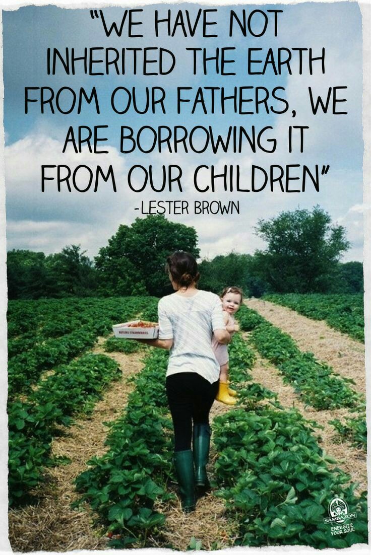 The Chook Hook: In, out, in, out, shake it all about...