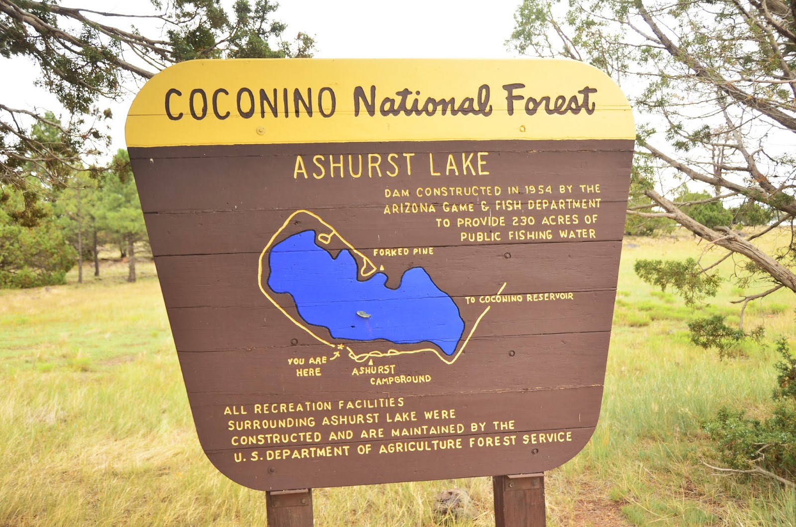 Camping Ashurst Lake (Flagstaff Area)