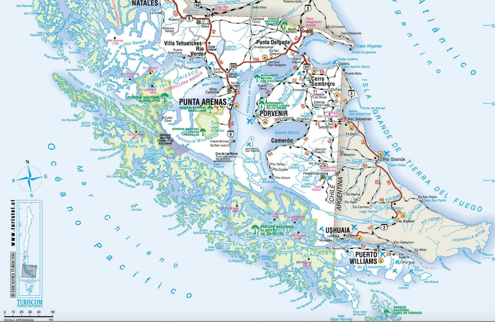 Sharon Sparlin: PENGUINS OF PUNTA ARENAS, CHILE