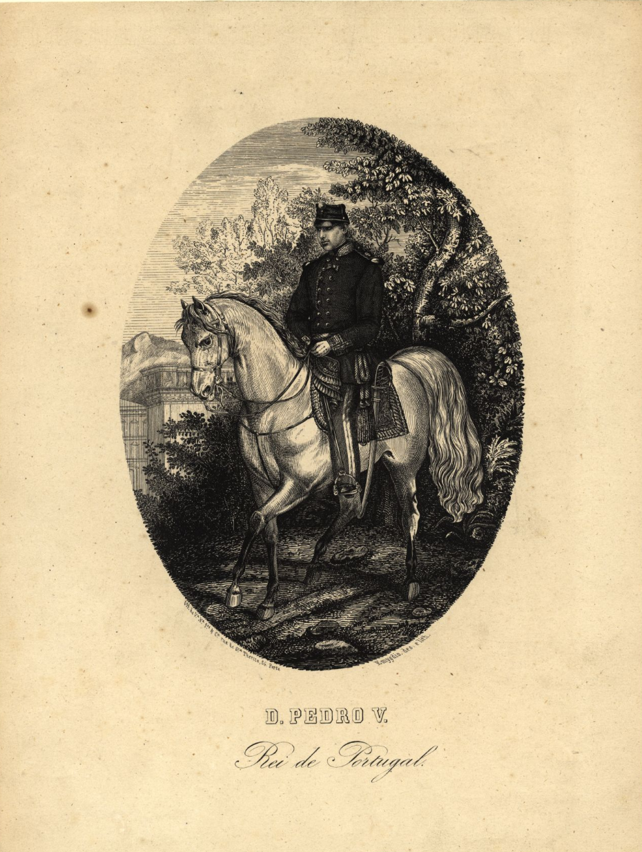 Histórias com História: D. PEDRO V DE PORTUGAL