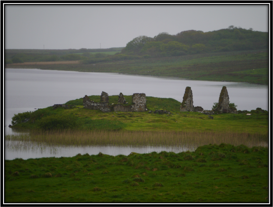 Best Shot Whisky Reviews : Finlaggan Whisky Review