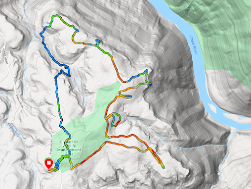 Nathaniel Mauger Running Zealot: Snake Hill Wildlife Area