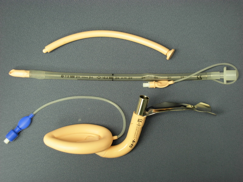 CTVA (cursos e treinamento em vias aéreas)