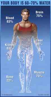 All & Every Purity Is A Clarity Of Life.: Sincerity Is The Catalyst ...