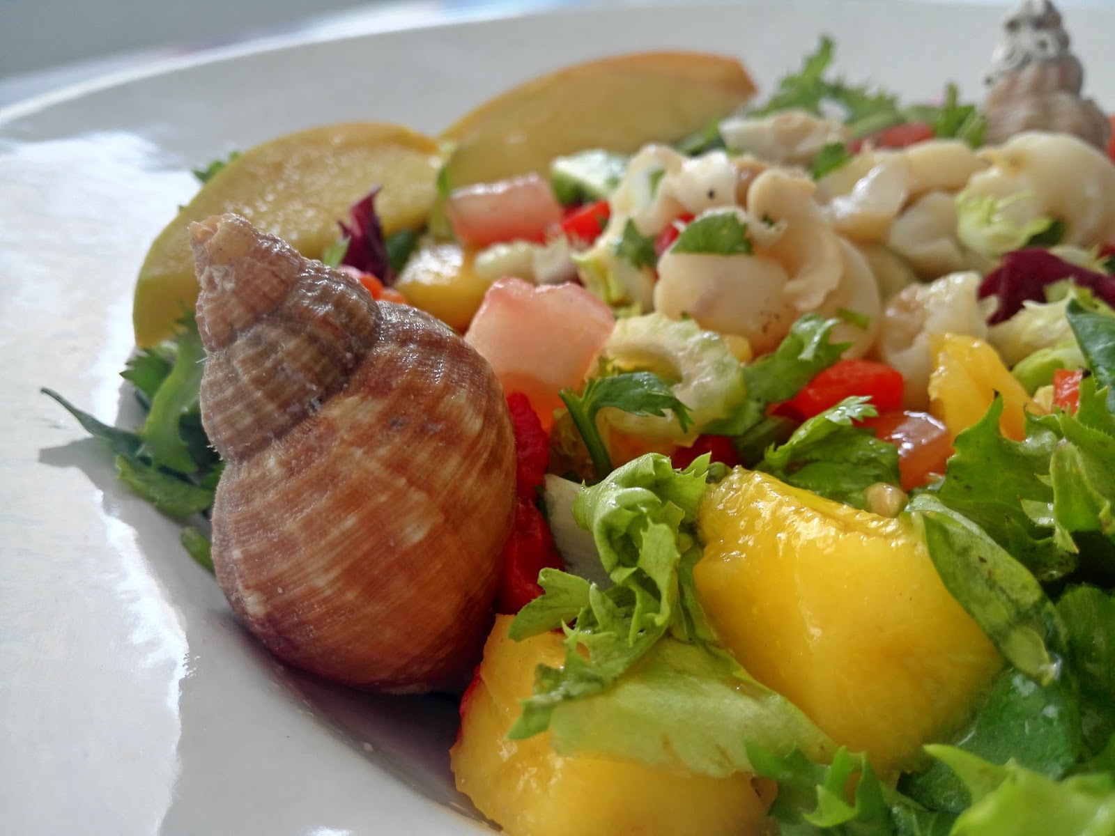 Sem Espinhas: Salada de Búzios