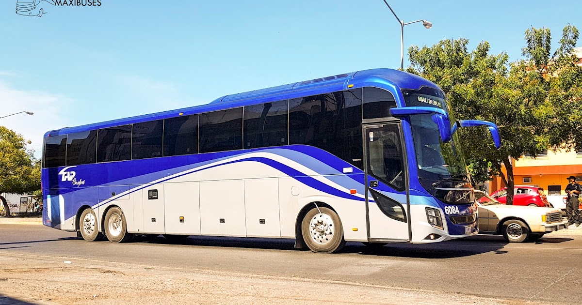 MAXIBUSES: TRANSPORTES Y AUTOBUSES DEL PACÍFICO, CONFORT (TAP CONFORT)