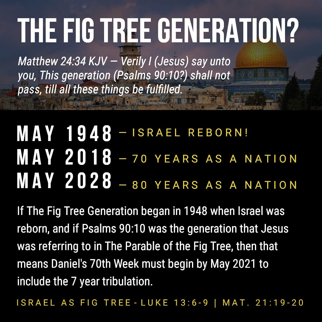 Fig Tree Generation