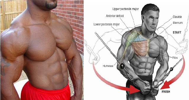 The Best Chest Workout - Standing Cable Crossover