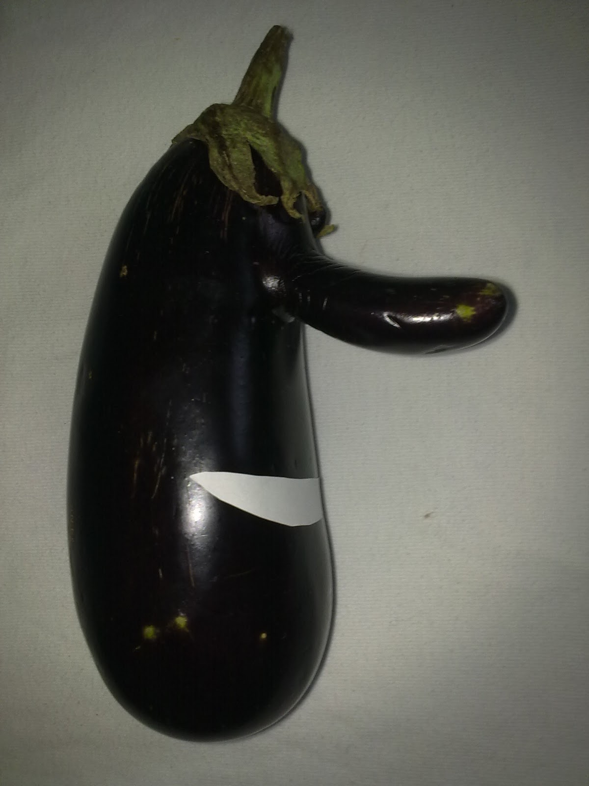 Šta smo danas pravili: Gospodin Nosonja