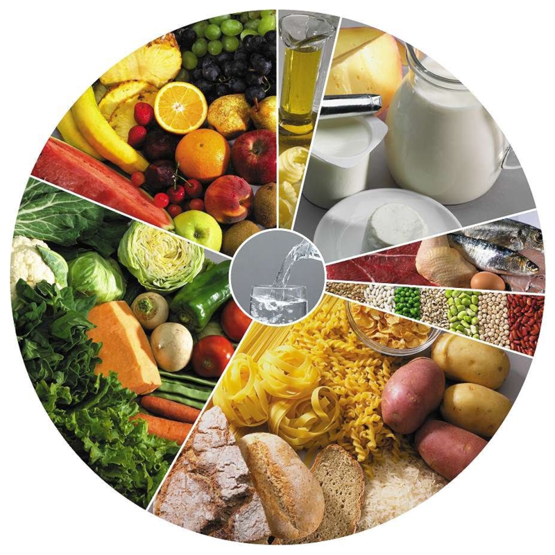 Understanding Food Groups understanding-food-groups