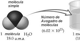Moléculas y Moléculos : El número de Avogadro y los Moles