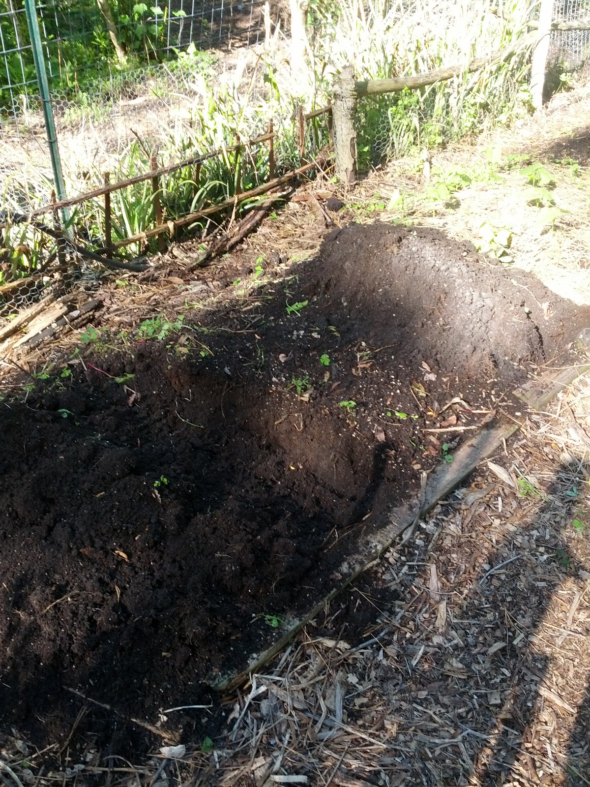 Synchronized Living: The Art of Double Digging