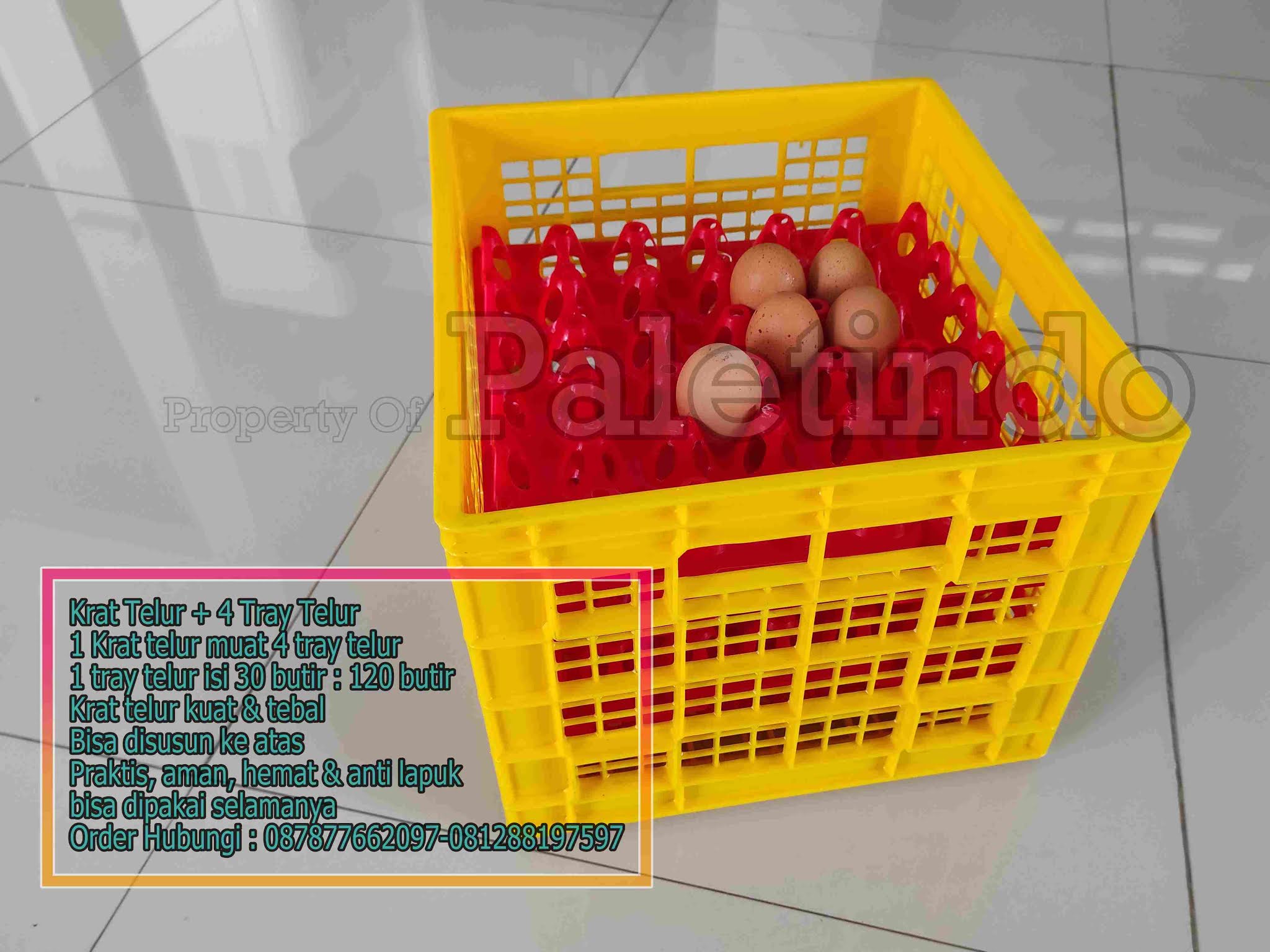 CV. PALETINDO INTI MAKMUR : Krat Telur + 4 Tray Telur - Kapasitas 120 Butir