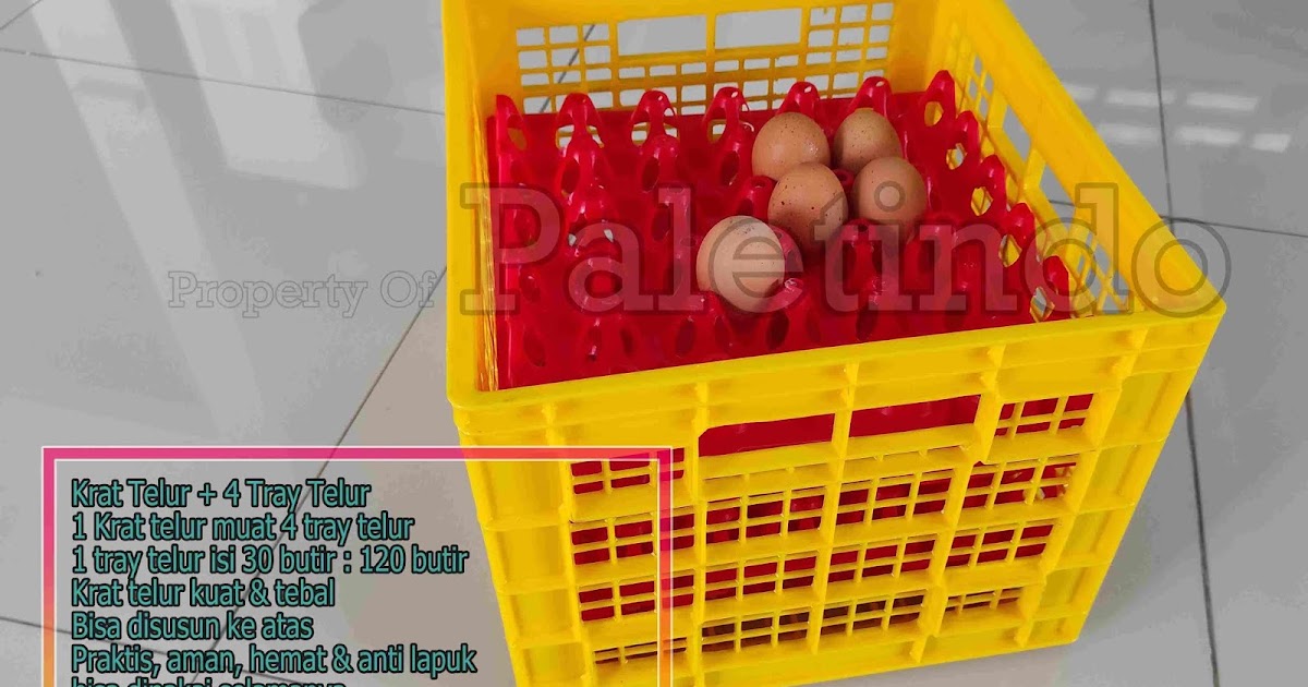 CV. PALETINDO INTI MAKMUR : Krat Telur + 4 Tray Telur - Kapasitas 120 Butir