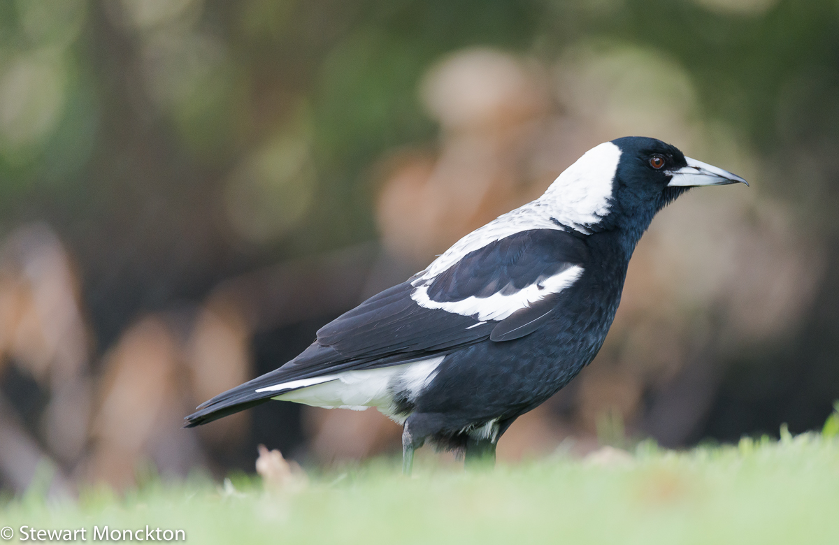 Paying Ready Attention - Photo Gallery: Seven for a Secret