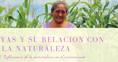 Los mayas y su relación con la naturaleza. Parte 2