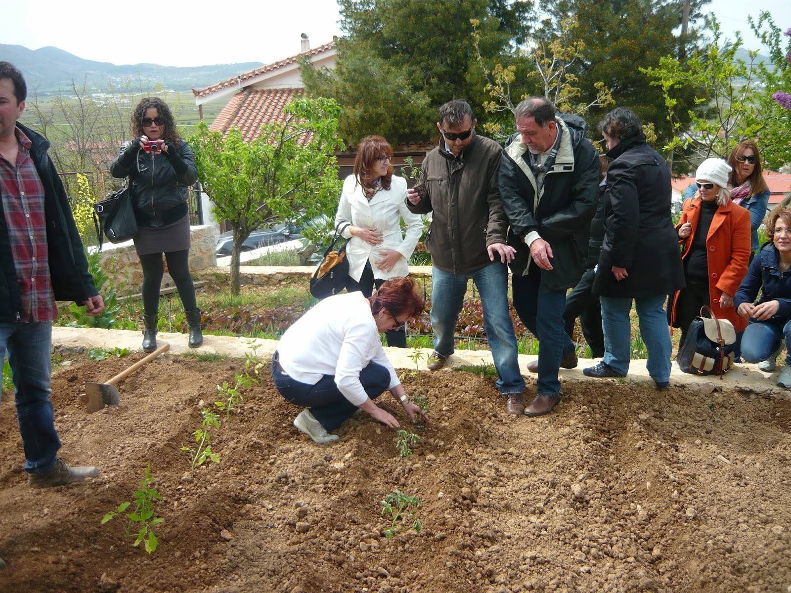 ΣΧΟΛΙΚΟΙ ΛΑΧΑΝΟΚΗΠΟΙ : ΟΙ ΚΗΠΟΙ ΤΩΝ ΣΧΟΛΕΙΩΝ ΤΗΣ Δ/ΣΗΣ Β/ΘΜΙΑΣ ΕΚΠ/ΣΗΣ ...