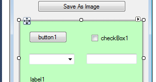 Save Panel with Control Inside It as Image C#.net, VB.net in windows ...
