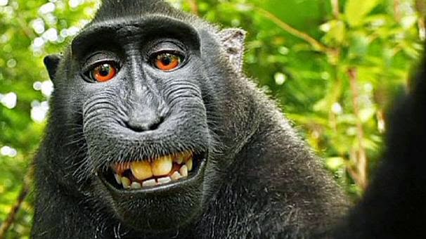 The 1709 Blog: September 2015