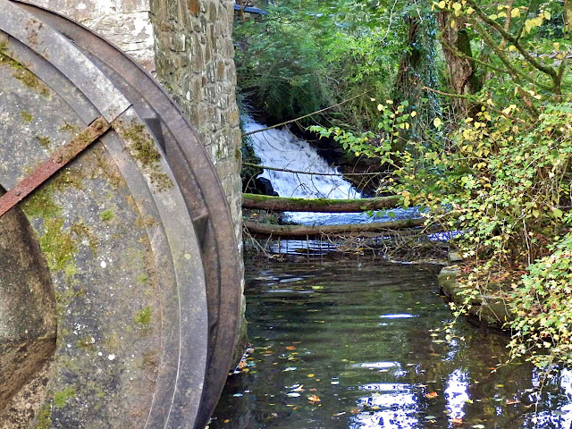 Mike's Cornwall: Trago Mills Near Liskeard, Cornwall