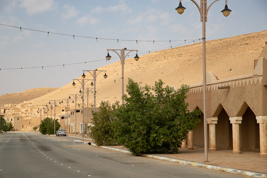 Birds of Saudi Arabia: Old Deira Al Ghat Heritage Village