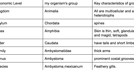 NOA's GCE Portfolio: Taxonomy of an Axolotl.