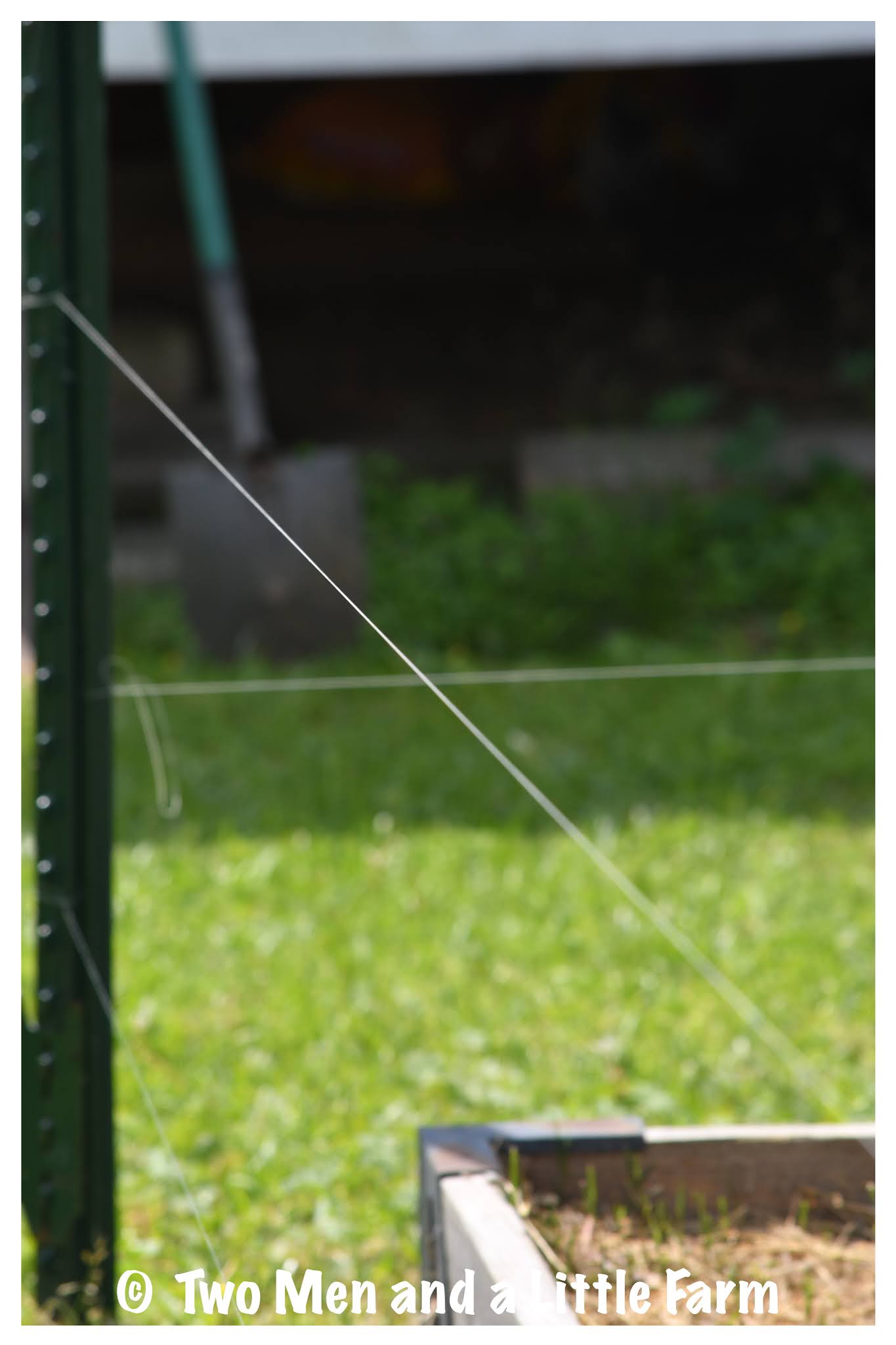 Two Men and a Little Farm: RESTRINGING THE DEER FENCING