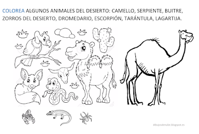 4 años: Proyecto el desierto. Imprimibles y Caja Sensorial.