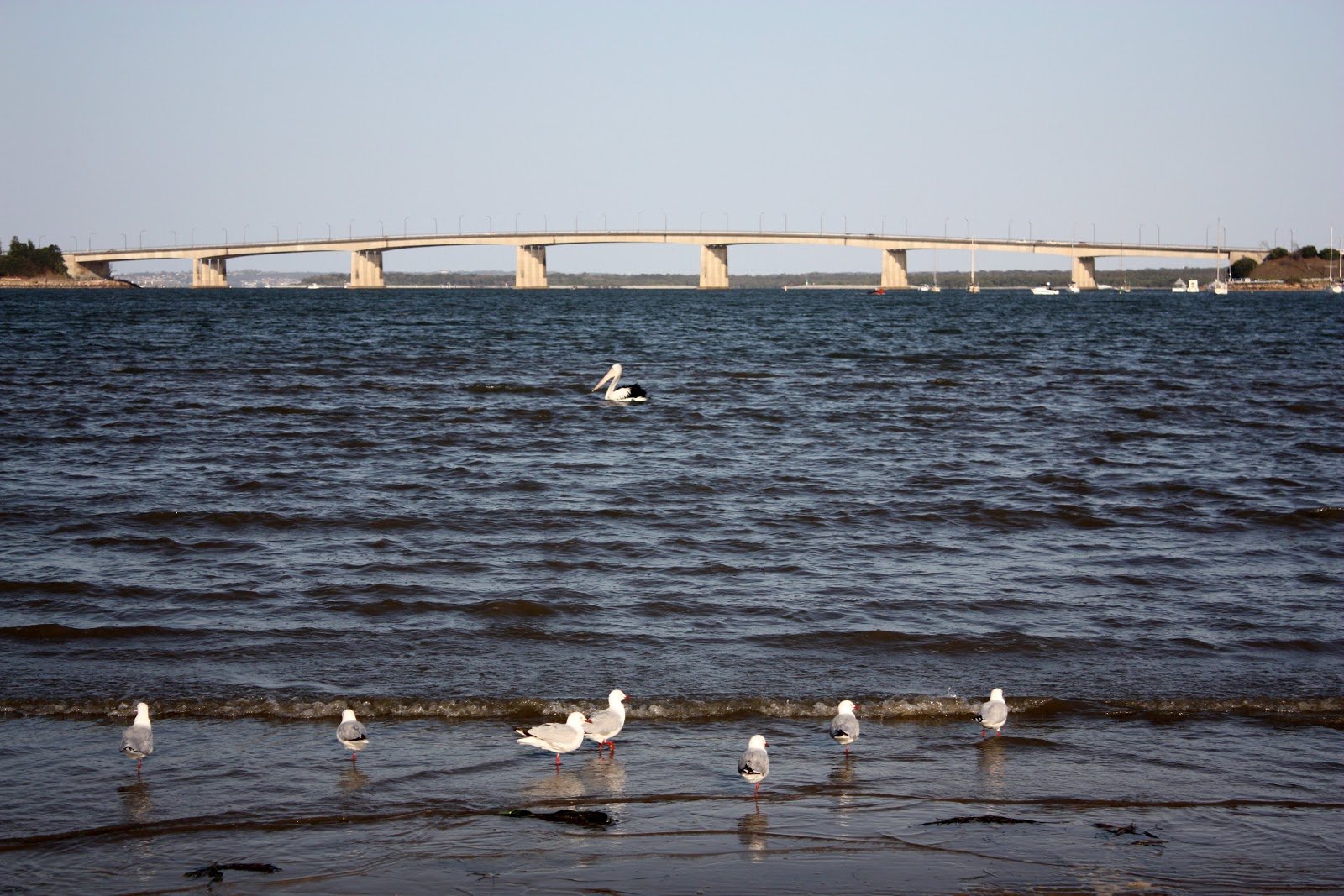 Sydney - City and Suburbs: Georges River, Captain Cook Bridge
