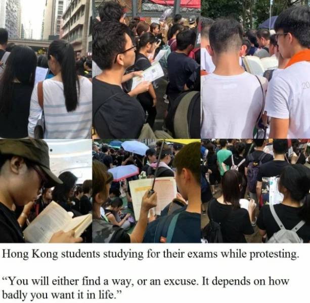 Hilarious Pictures | Funny Photos On Today's Internet 2020