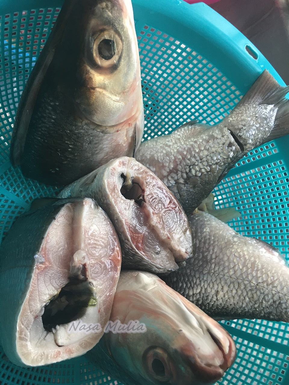 warna warni hidupku..............: Ikan Susu/Bolu Bakar