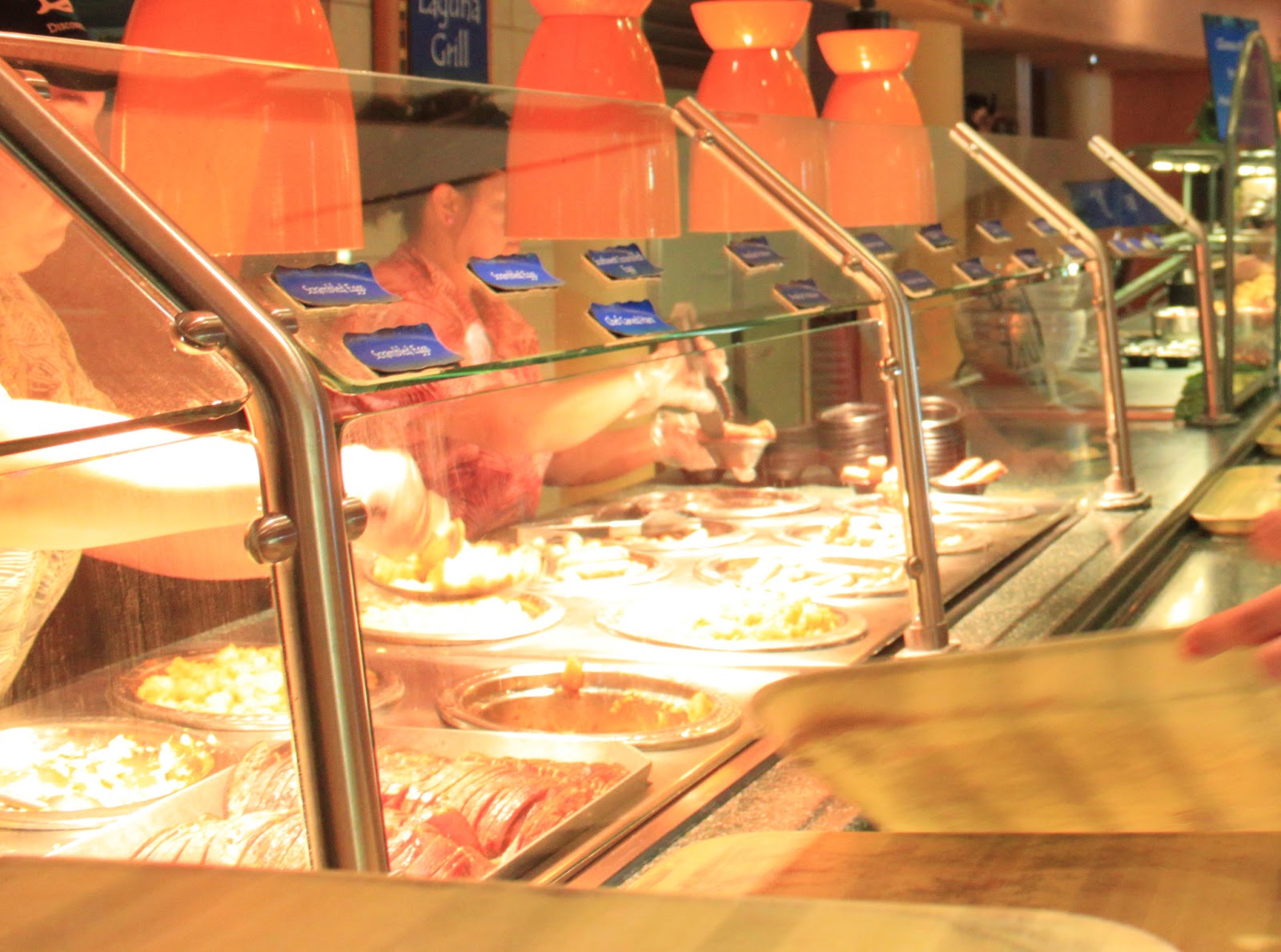 Laura Schmitt NE: Gluten Free Discovery Cove , Seaworld, Aquatica ...