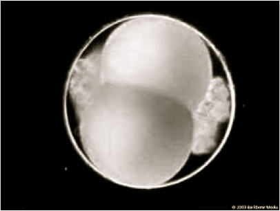 90º Degrees to the Left: February 2012