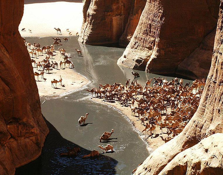 The amazing world: Guelta d'Archei, Ennedi Plateau, north-eastern Chad