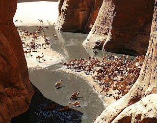 The amazing world: Guelta d'Archei, Ennedi Plateau, north-eastern Chad