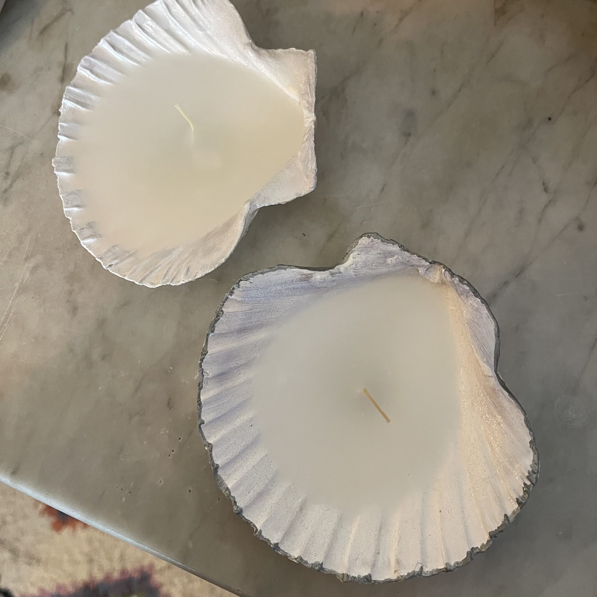 DIY #3 How to decorate scallop shells?