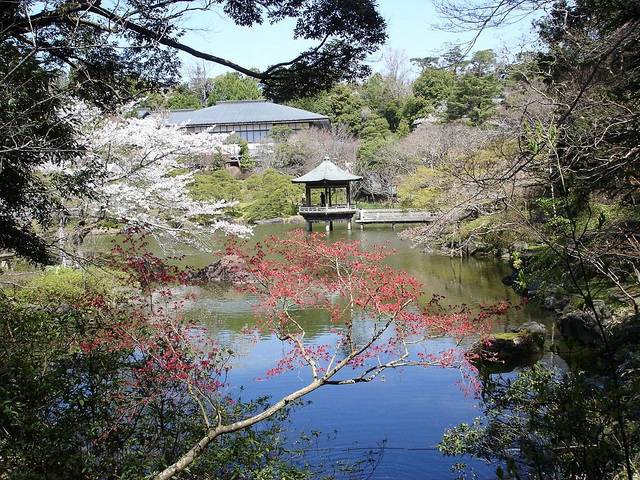 Narita (miasto) i Unari-kun