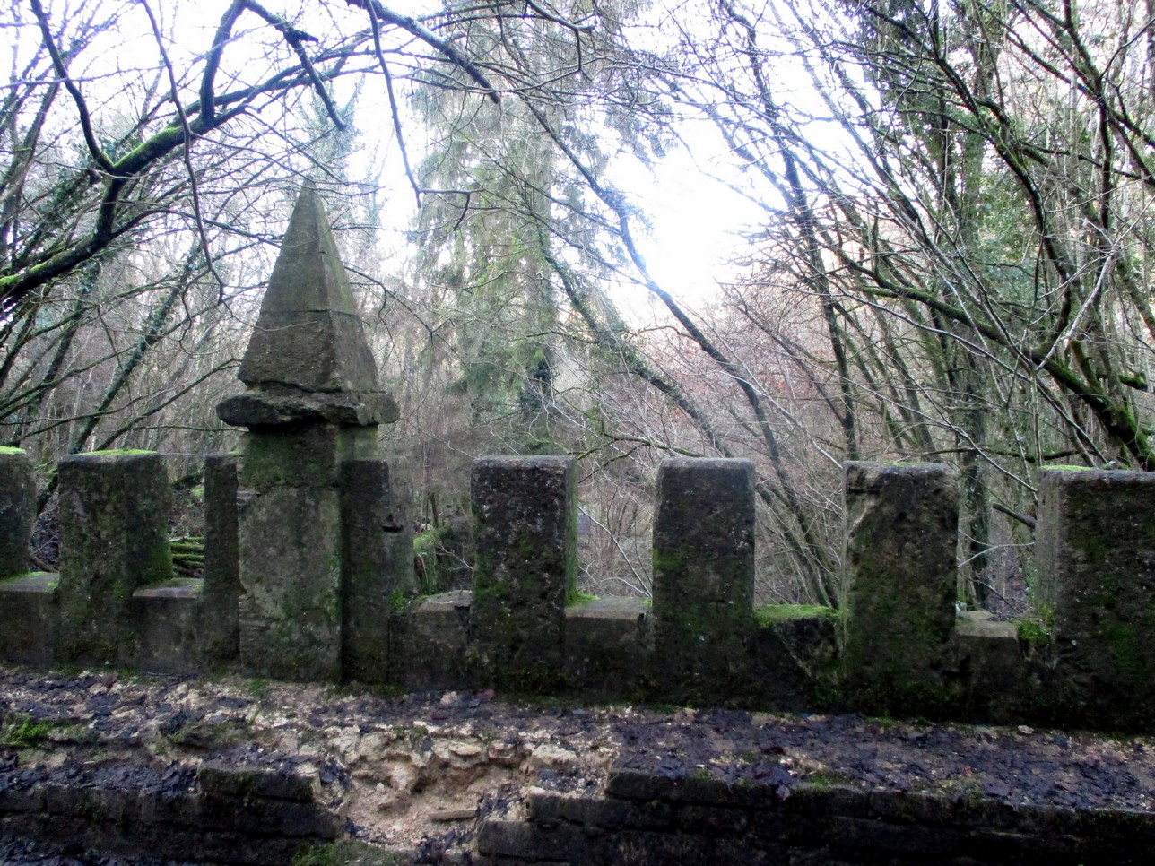 RoaminRascal: Sapperton Valley and Siccaridge Wood