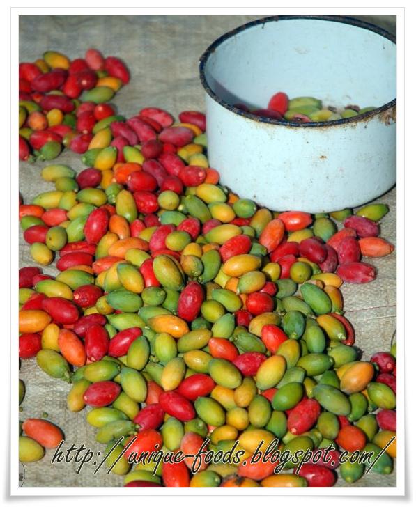 How to make Emping Melinjo (Cracker chips) Completely, and How to Fry it