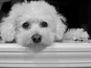 cake batter & paper scraps: About