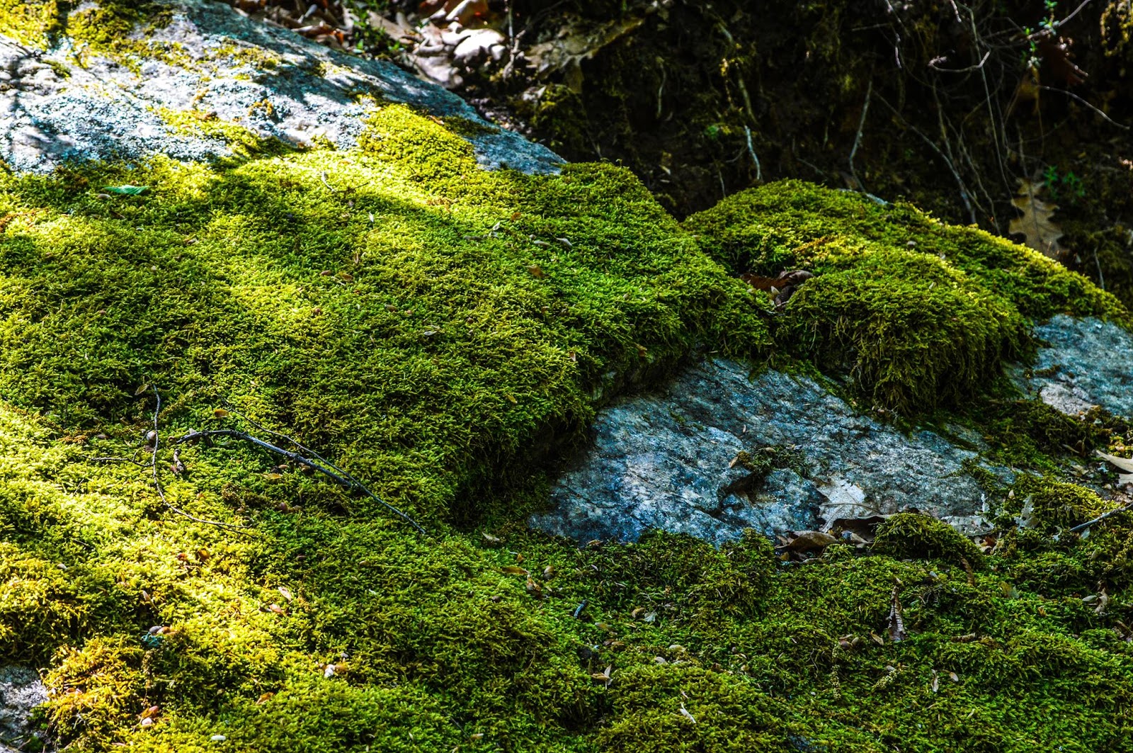 Das kleine wunderschöne Dorf Bogomila