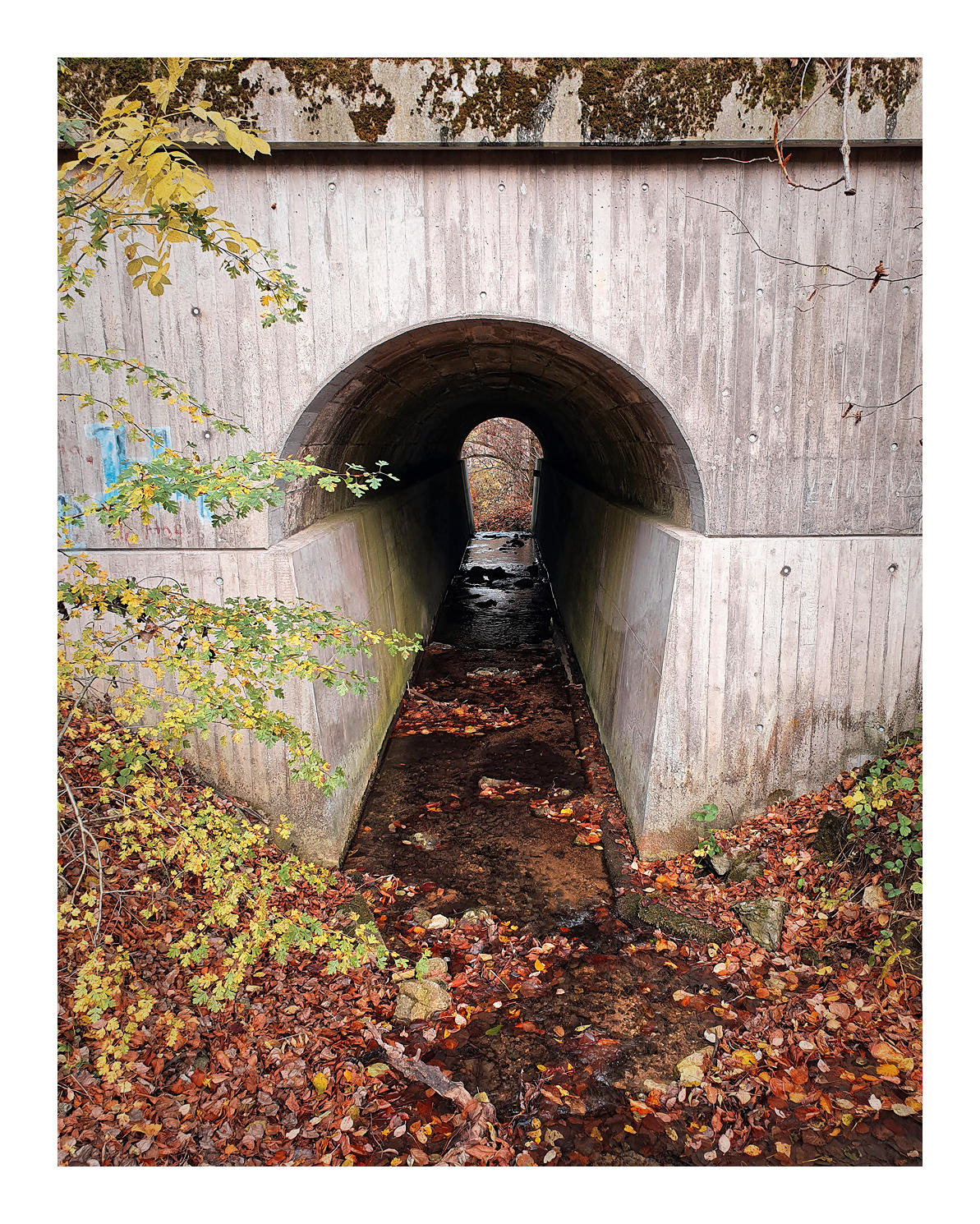 MIKE REIF photography: 2020