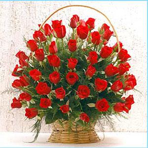 Travel Journey: Types of Bookey Flower