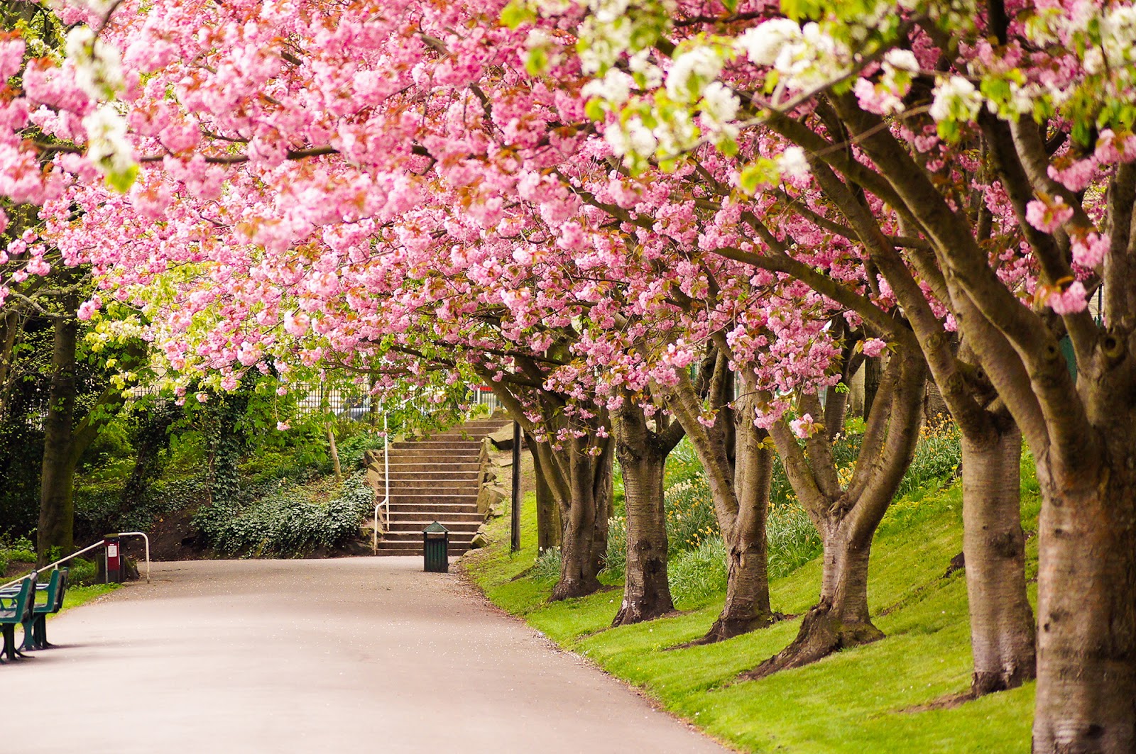 background foto bersama