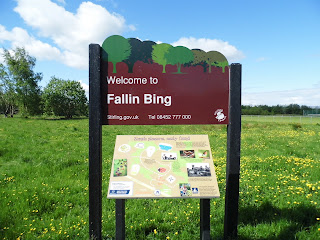 All Our Stories- 'Fallin Bing- from Coalfield to Brownfield!': Summer ...