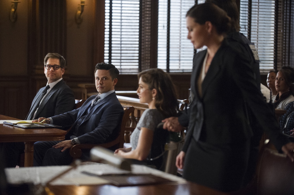 What Does it Take To Get Into BULL’s Trial Science Team? - Benteuno.com