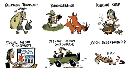 Green Humour: Part Time Jobs of a Field Biologist