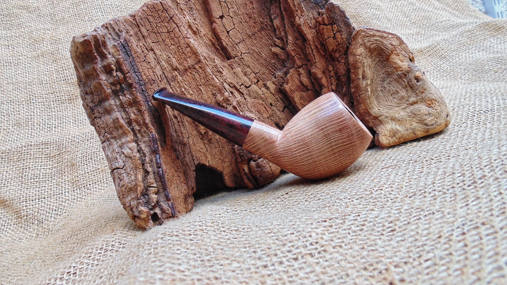 Devil Anse 2021 COD.163