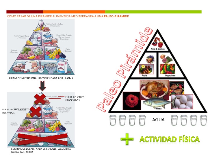 PALEO DIETA: Las Reglas Básicas de la Paleodieta